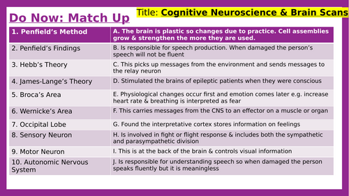 Neuropsychology& Brain Scans GCSE Psychology | Teaching Resources