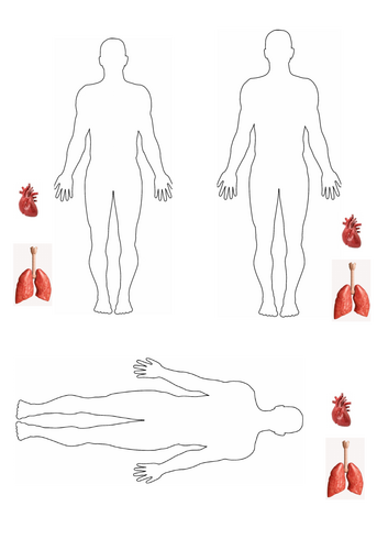 Human Circulatory System: lesson1 to support new Collins Hub Snap ...
