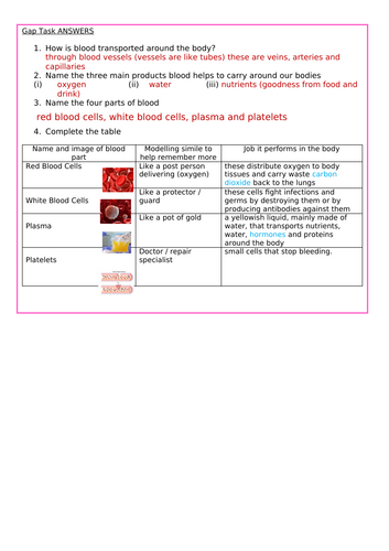 Human Circulatory System lesson 2 Blood link with Collins Hub version 2 ...