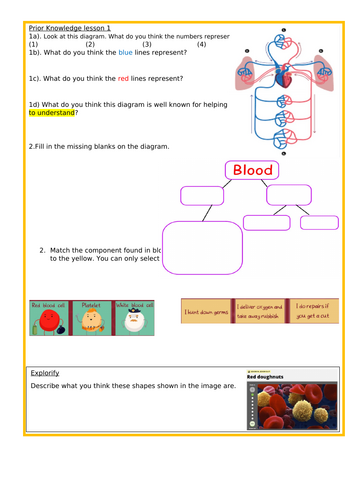 Human Circulatory System lesson 2 Blood link with Collins Hub version 2 ...