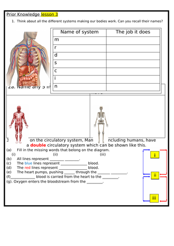 Human Circulatory System lesson 3 to support Collins Hub version 2 ...