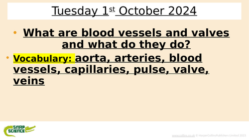 Human Circulatory System lesson 4 Blood Vessels to support Collins Hub ...