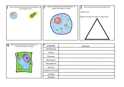 Cells Revision Mat | Teaching Resources