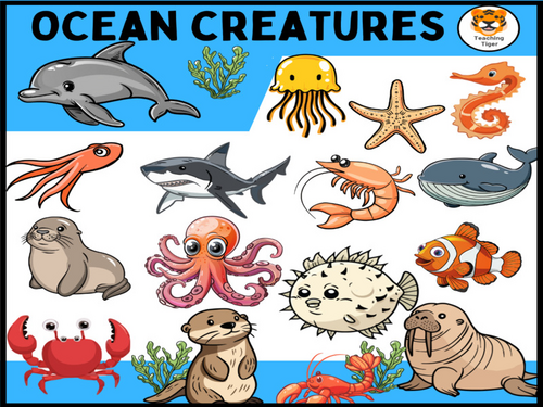 Ocean Creatures Clipart | Teaching Resources