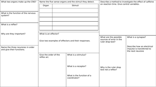 Nervous system revision mat - AQA GCSE Biology Paper 2 | Teaching Resources Nervous system revision mat - AQA GCSE Biology Paper 2 | Teaching Resources