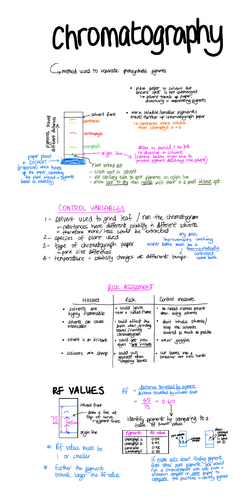 Biology Chromatography practical | Teaching Resources