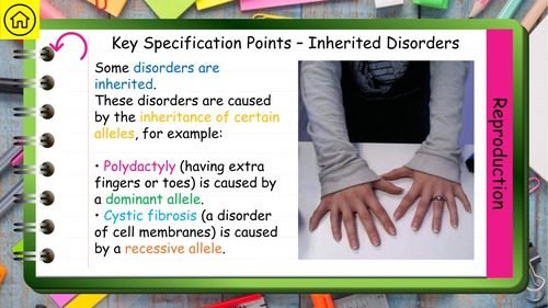 B6 Inheritance, Variation & Evolution AQA GCSE Science Biology Revision ...