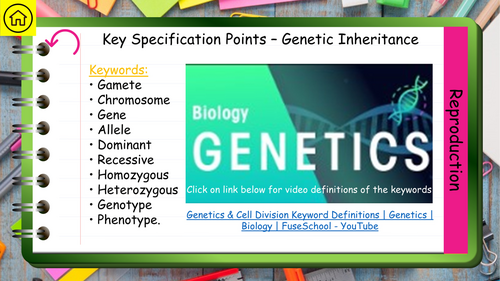 B6 Inheritance Variation And Evolution Aqa Gcse Science Biology Revision 9 1 Teaching Resources