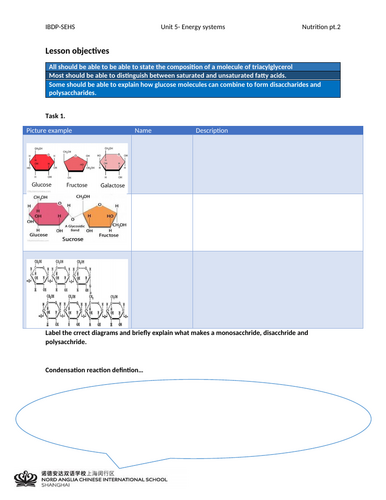 IBDP Sport, exercise and health science entire course lesson plans and ...