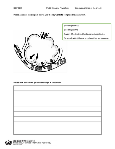 IBDP Sport, exercise and health science entire course lesson plans and ...