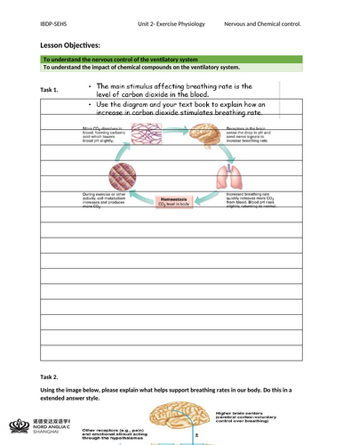 IBDP Sport, exercise and health science entire course lesson plans and ...