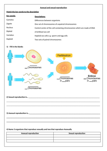 Asexual and sexual reproduction | Teaching Resources