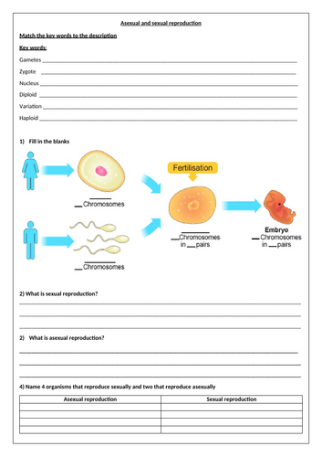 Asexual and sexual reproduction | Teaching Resources