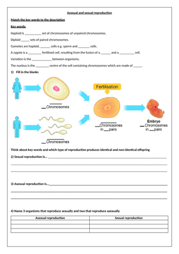 Asexual and sexual reproduction | Teaching Resources