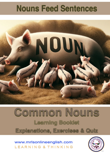 Common Nouns PowerPoint | Teaching Resources