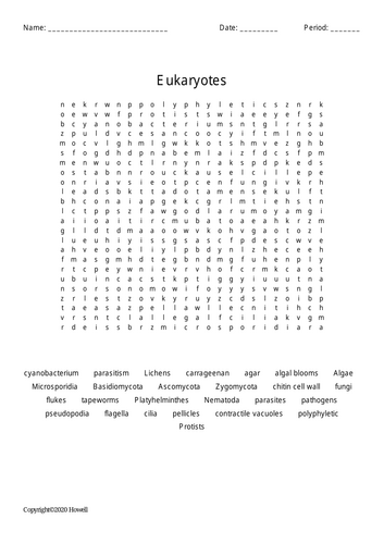 Eukaryotes Word Search for a Microbiology Course | Teaching Resources