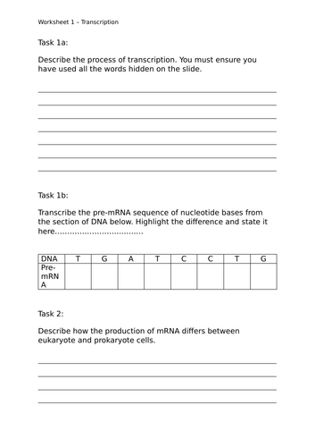A level Biology Revision - Protein synthesis | Teaching Resources