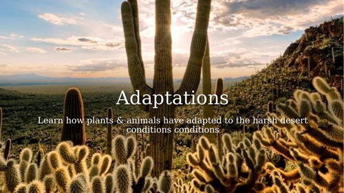 Deserts, KS3 Geography (complete short unit) | Teaching Resources