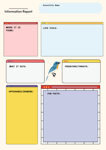 That Bird Has Arms! - HUGE Resource Bundle- Stages 1-3 - CBCA Shortlist ...