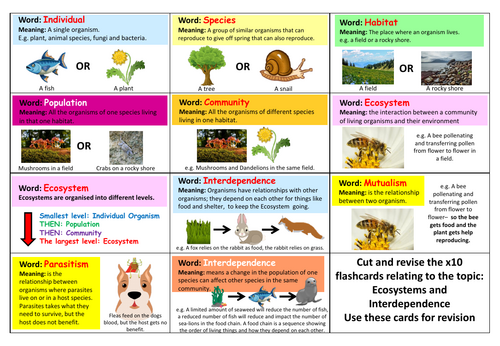 GCSE Ecosystems Flashcards Revision | Teaching Resources GCSE Ecosystems Flashcards Revision | Teaching Resources