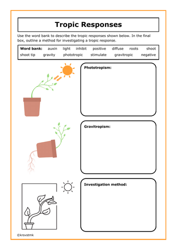 Tropic Responses + Model Answers Included | Teaching Resources