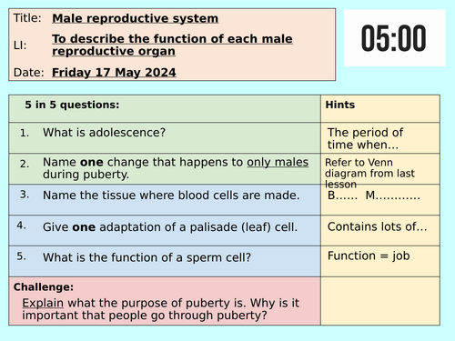 Male reproductive system - KS3 Activate, Reproduction | Teaching Resources