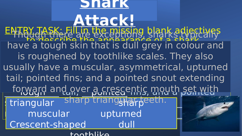 Descriptive Writing Shark attack | Teaching Resources