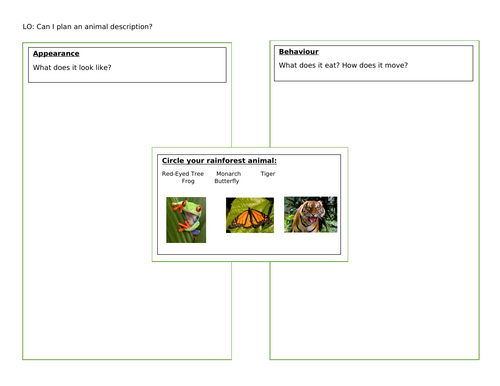 Planning and Writing an Animal Description (Y3/4) | Teaching Resources