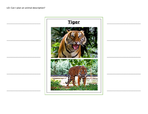 Planning and Writing an Animal Description (Y3/4) | Teaching Resources