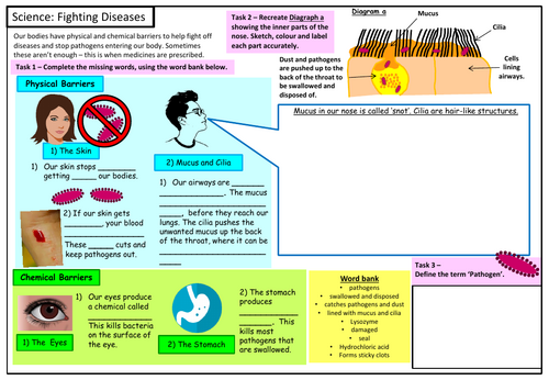 GCSE Combined Science Revision Worksheets - Fighting Diseases ...