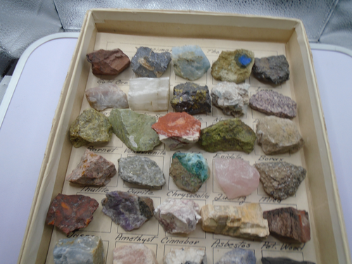 SPECIMENS FROM THE DESERT 2 | Teaching Resources