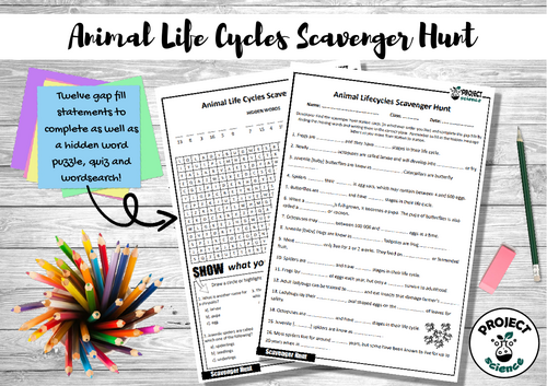 Animal Life Cycles Scavenger Hunt | Teaching Resources