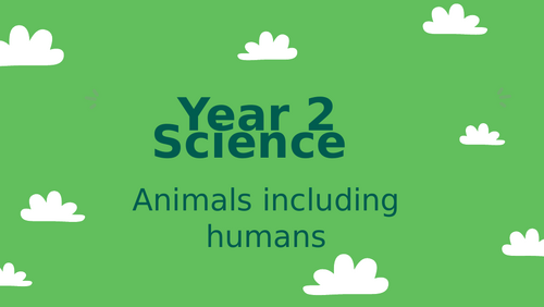 Year 2/KS1 Science Animals including humans, offspring, growth and ...