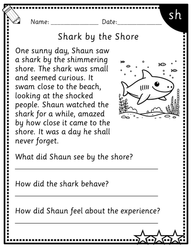 Blends and Digraphs Worksheets Phonics Fluency Reading Comprehension ...