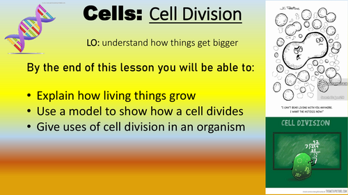 Cell division | Teaching Resources