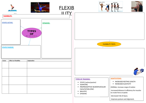 OCR A Level PE Exercise Physiology-aerobic capacity, strength and ...