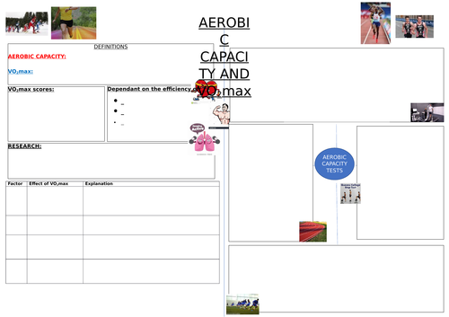 OCR A Level PE Exercise Physiology-aerobic capacity, strength and ...