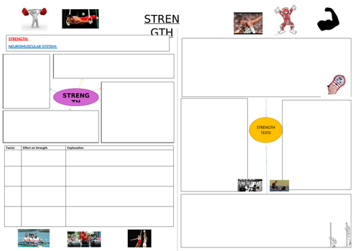 OCR A Level PE Exercise Physiology-aerobic capacity, strength and ...