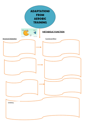 OCR A Level PE Exercise Physiology-aerobic capacity, strength and ...