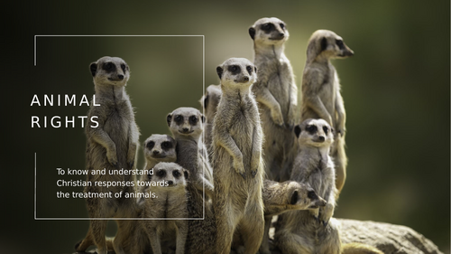 The natural world - animal rights Edexcel Ethics, religion and life ...