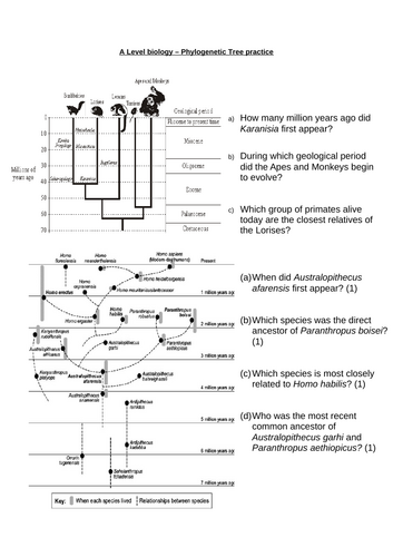 Species and taxonomy- AQA A Level Biology (AS Level)- 10. Biodiversity ...