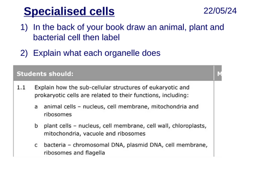 Specialised cells | Teaching Resources