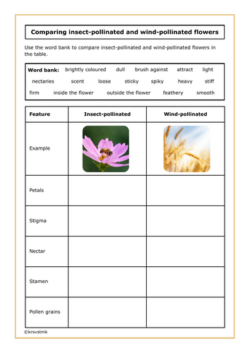 Comparing insect-pollinated and wind-pollinated flowers + Answers ...