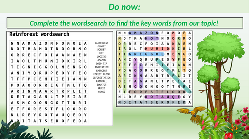 KS3 Geography - Sustainable activities in the rainforest ...