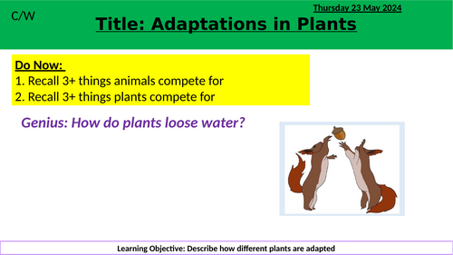Plant adaptations | Teaching Resources