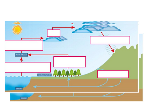 Water and decay cycle | Teaching Resources