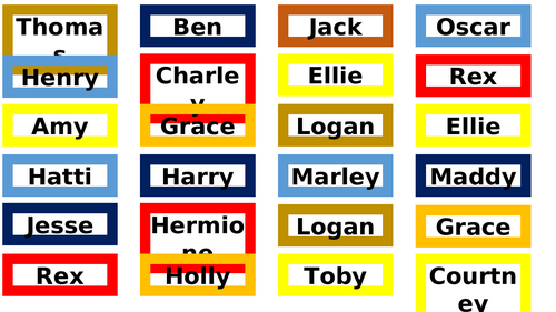 Peg and Tray Labels - Change Names & Print | Teaching Resources