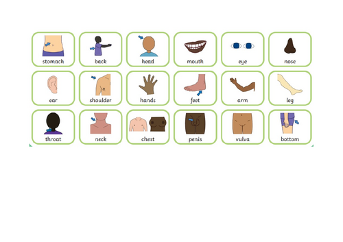 Body Awareness SEND RSE full lesson | Teaching Resources