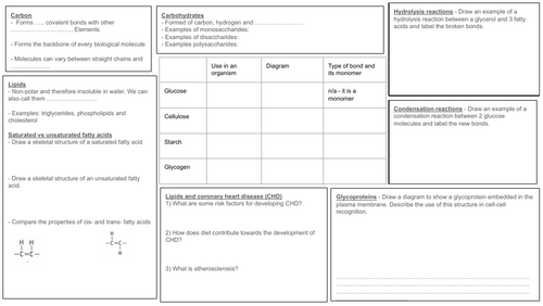 B1.1 and B1.2 Revision Mat for SL IBDP Biology | Teaching Resources