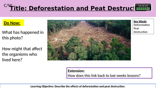 Deforestation and peat destruction | Teaching Resources
